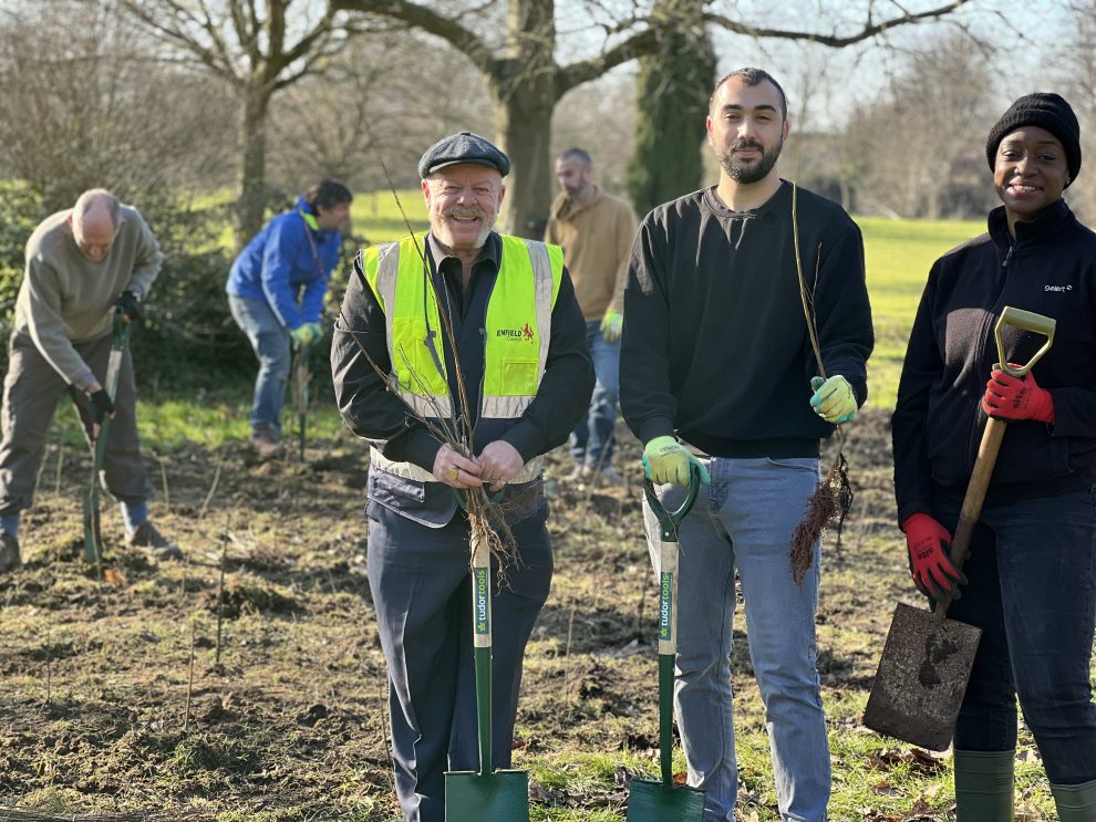 Thousands more trees being planted across Enfield - Enfield Dispatch