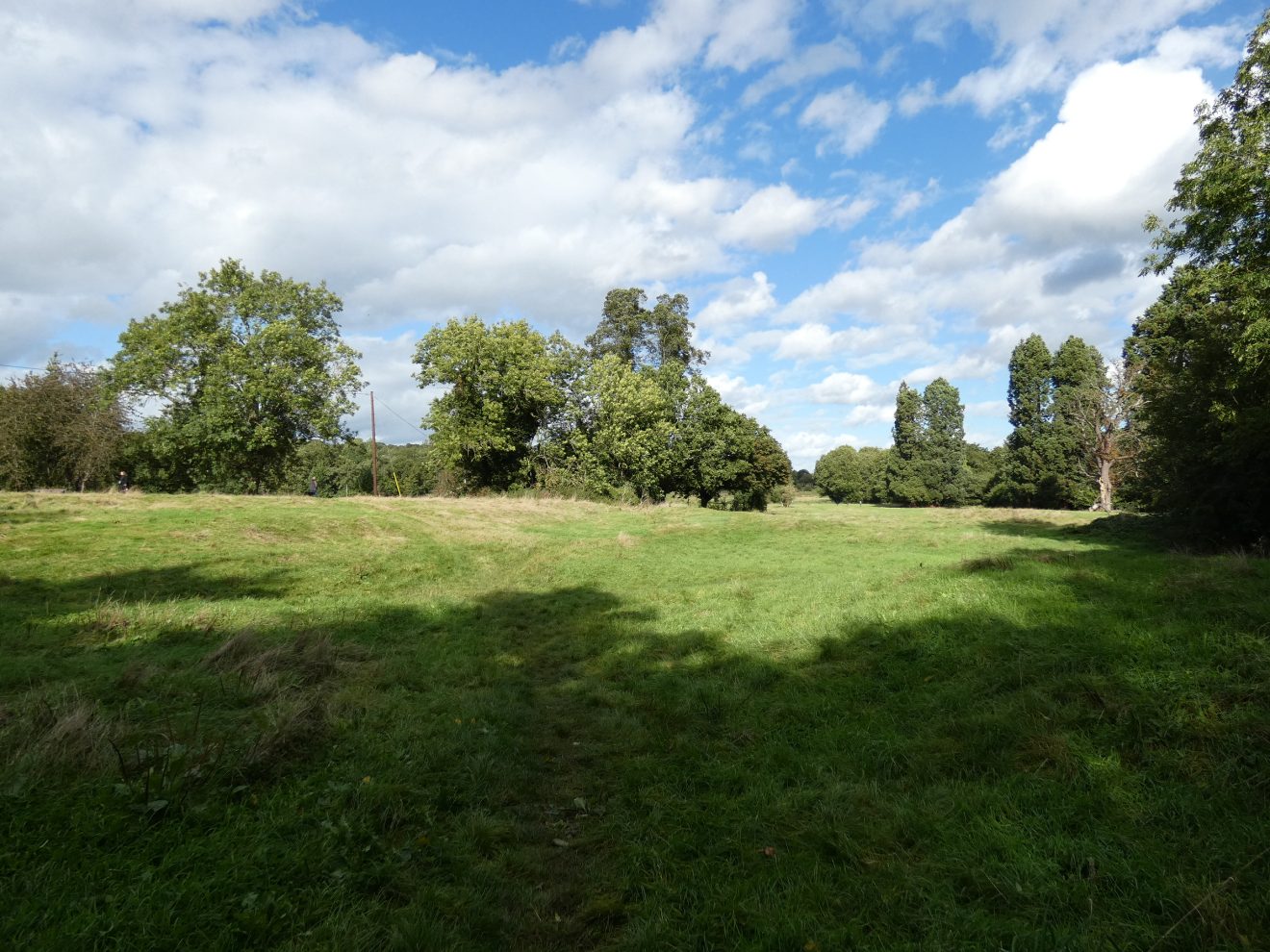Enfield Council could face legal action over Whitewebbs Park lease ...