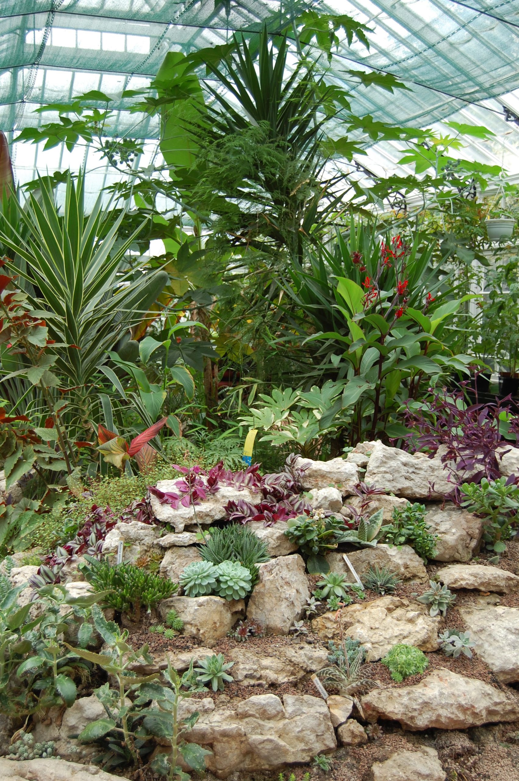 'Tropical world' reopening in Palmers Green - Enfield Dispatch