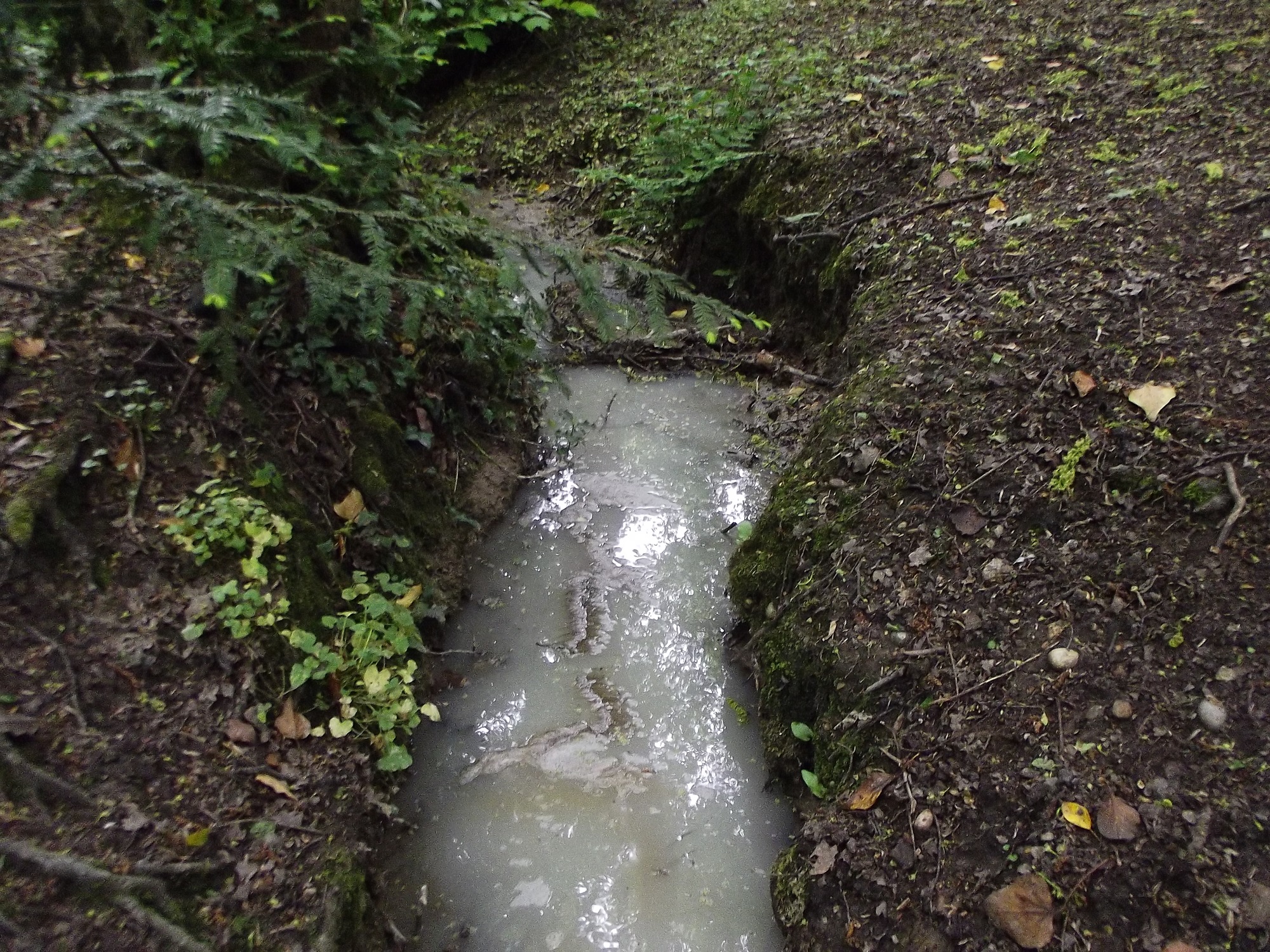 Call for action over sewage 'misconnections' polluting Enfield's rivers ...